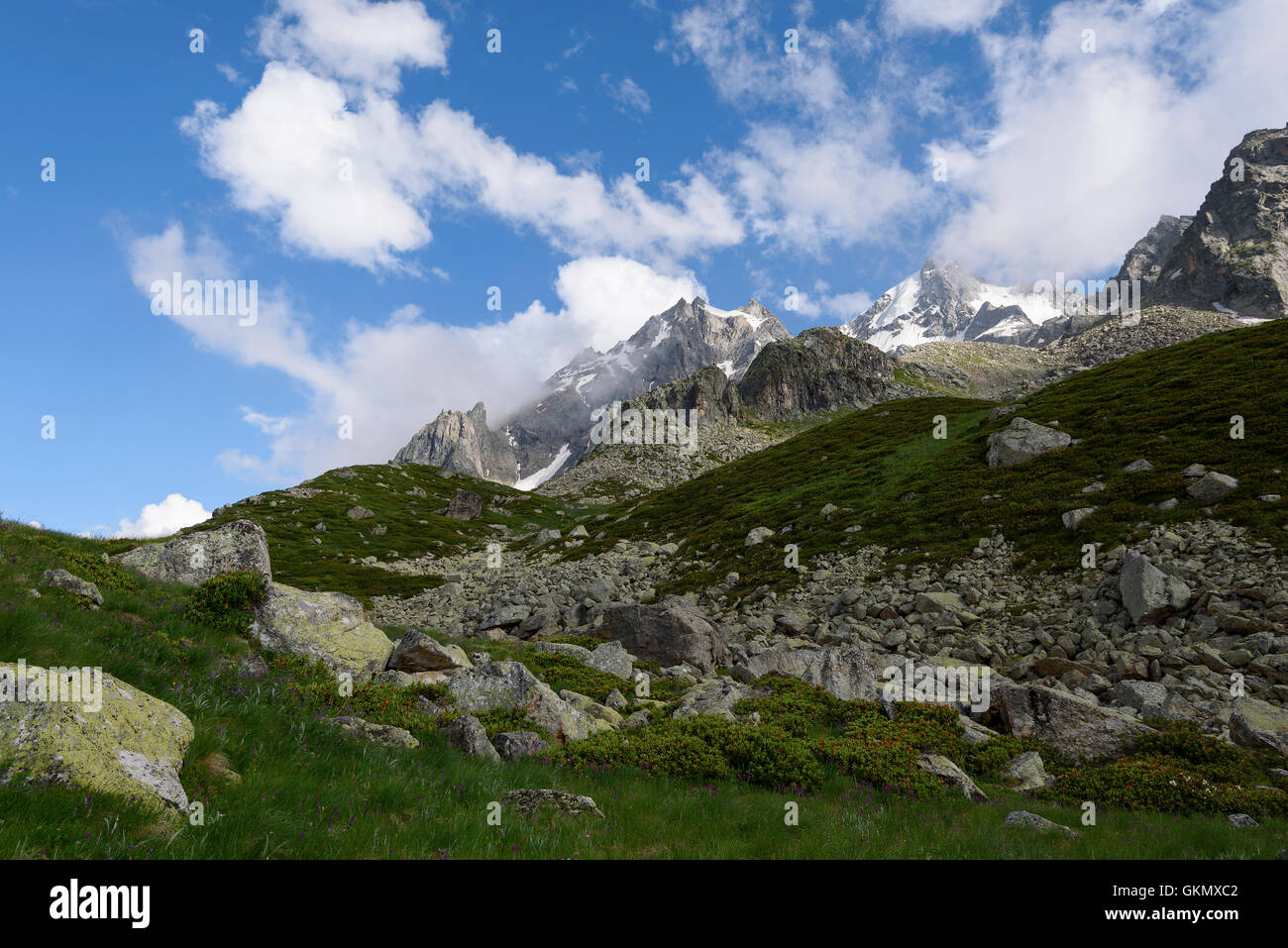 Morning color hi-res stock photography and images - Alamy