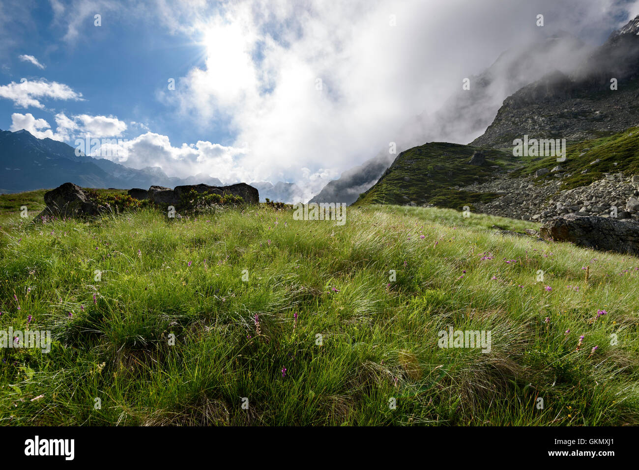Alpine landscape early in the morning Stock Photo - Alamy