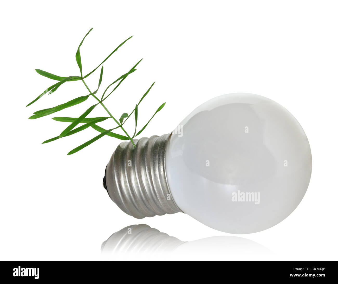 Grow light bulb sprout Cut Out Stock Images & Pictures - Alamy
