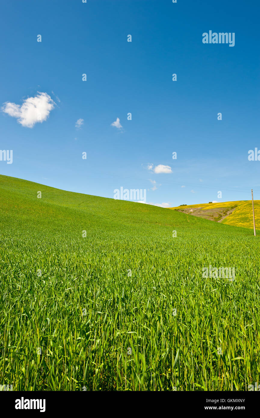 Meadows of Tuscany Stock Photo - Alamy