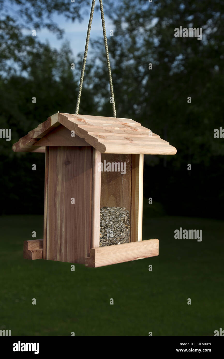 Suspended feeder hi-res stock photography and images - Alamy