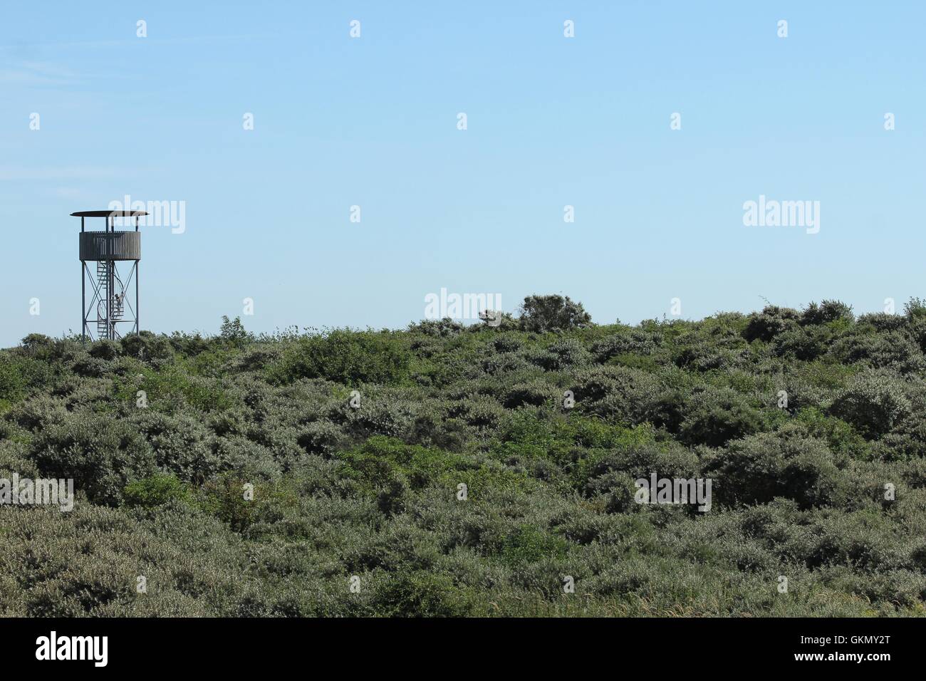watch tower in beach dunes plants Stock Photo - Alamy