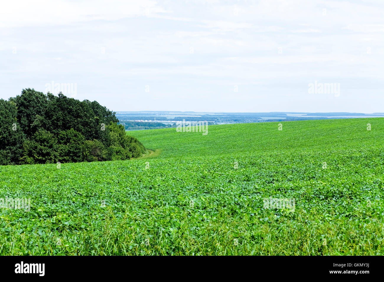 country landscape with green field and trees Stock Photo - Alamy