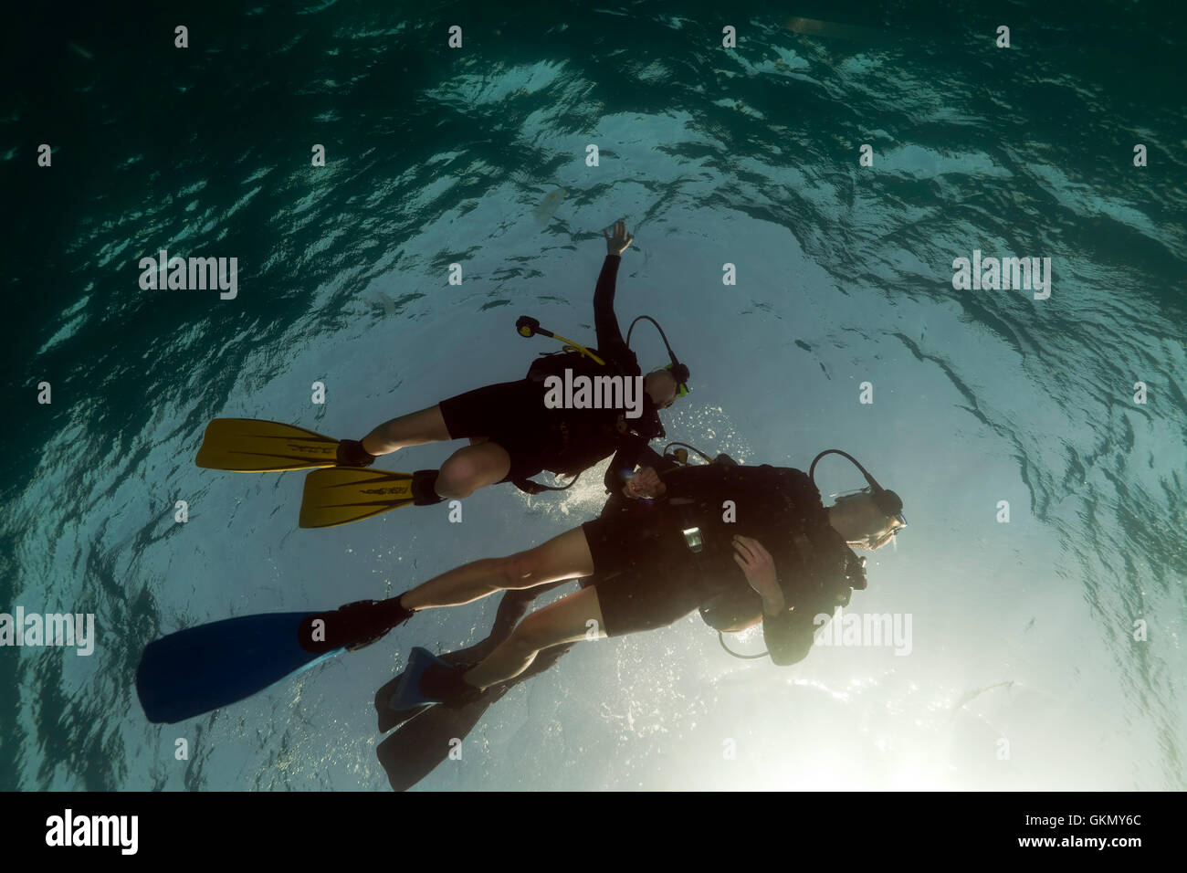 Scuba divers in the Red Sea Stock Photo - Alamy