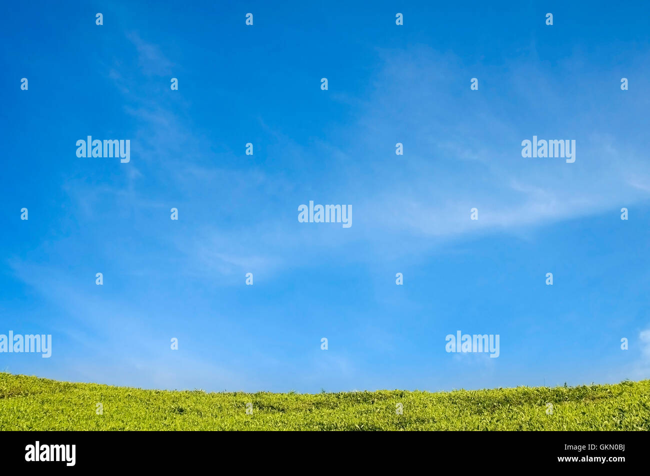 green field with blue sky Stock Photo - Alamy