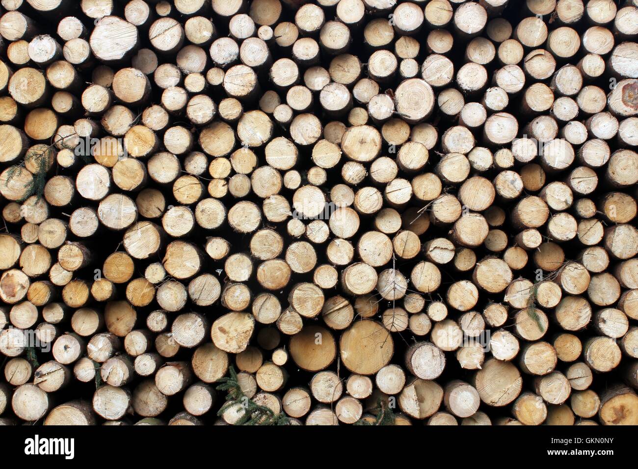 wood logs texture Stock Photo - Alamy