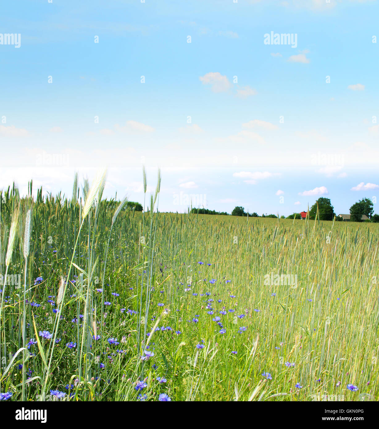 classic countryside landscape Stock Photo - Alamy