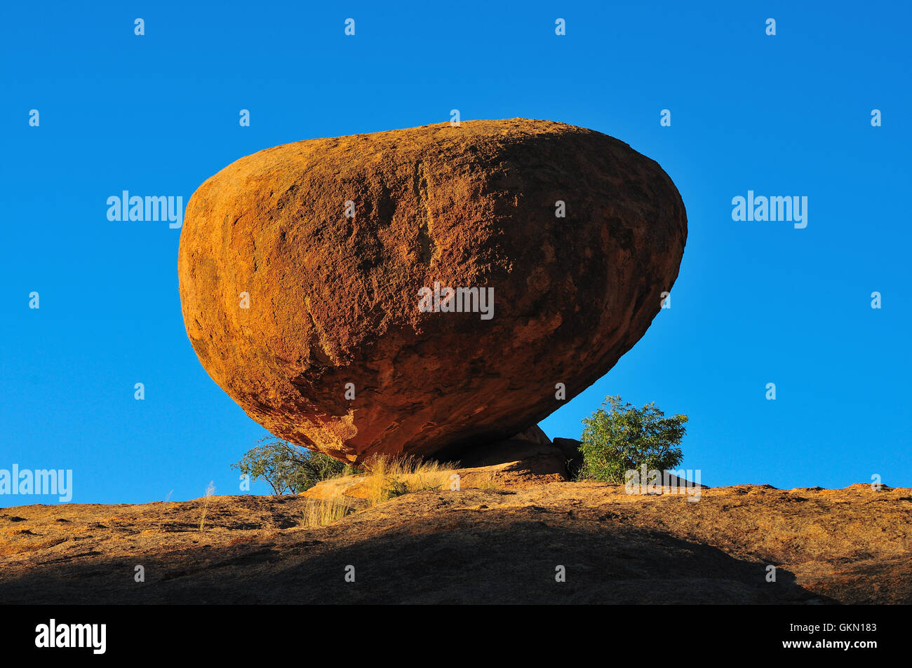 Ameib hi-res stock photography and images - Alamy