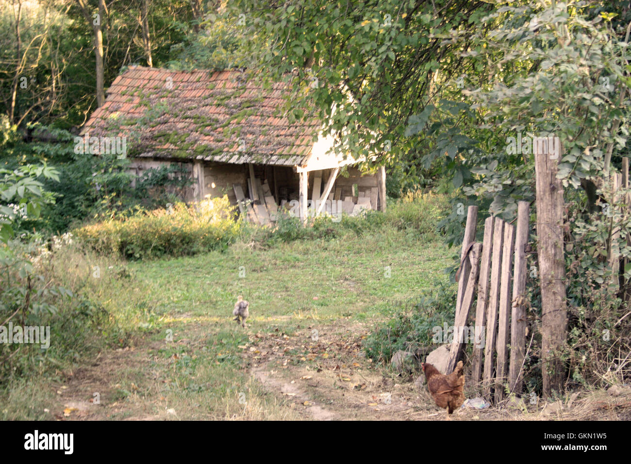 Historical chicken house hi-res stock photography and images - Alamy