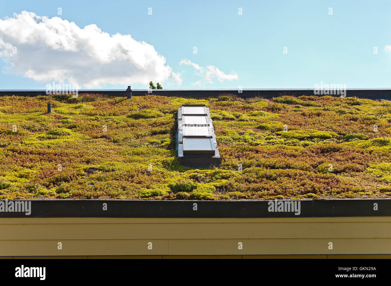 green or vegetative roof and skylight of visitor center in eagan ...