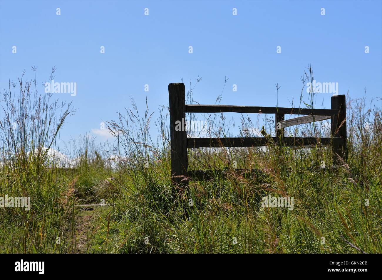 Boundary plants hi-res stock photography and images - Alamy