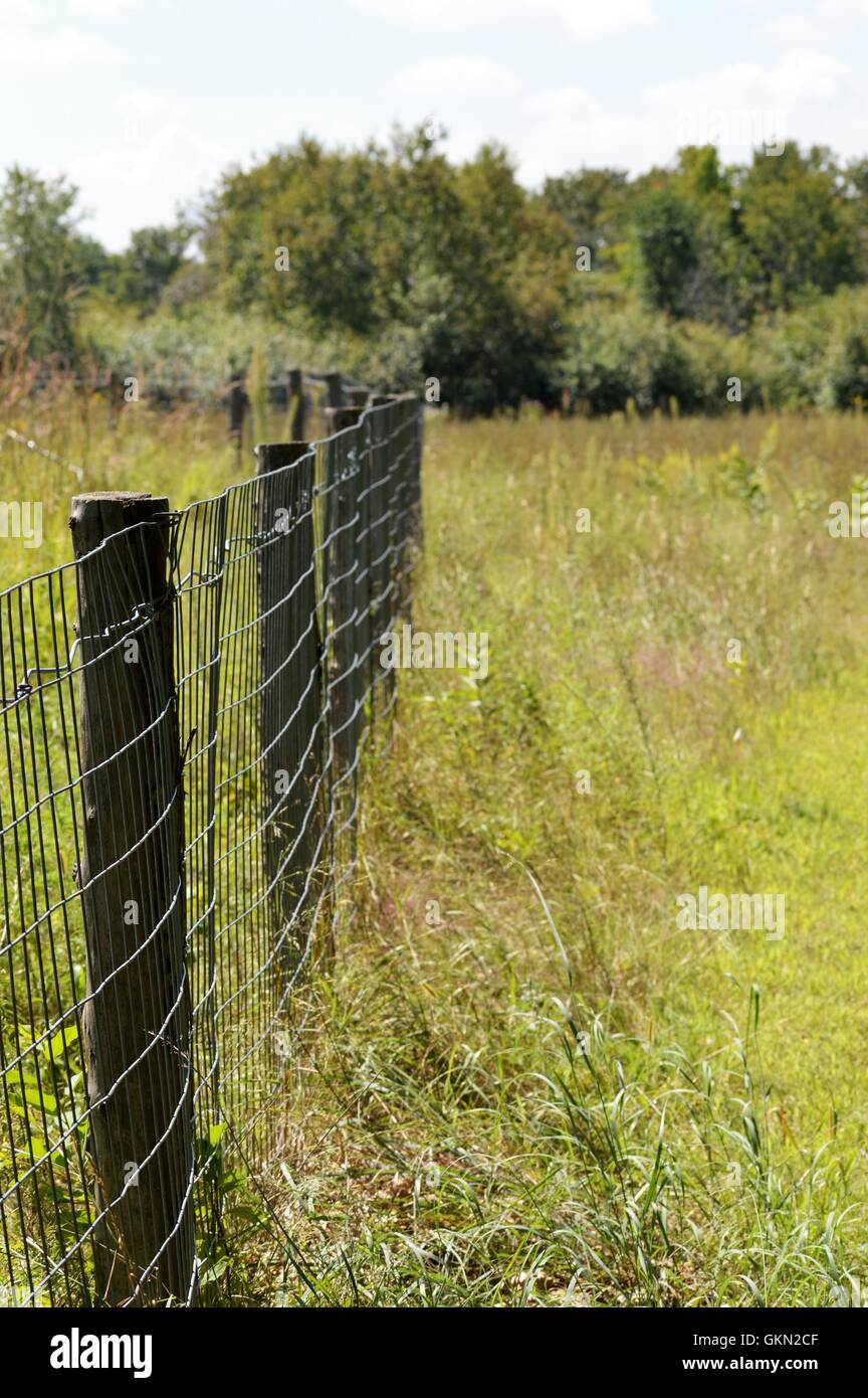 Boundary plants hi-res stock photography and images - Alamy