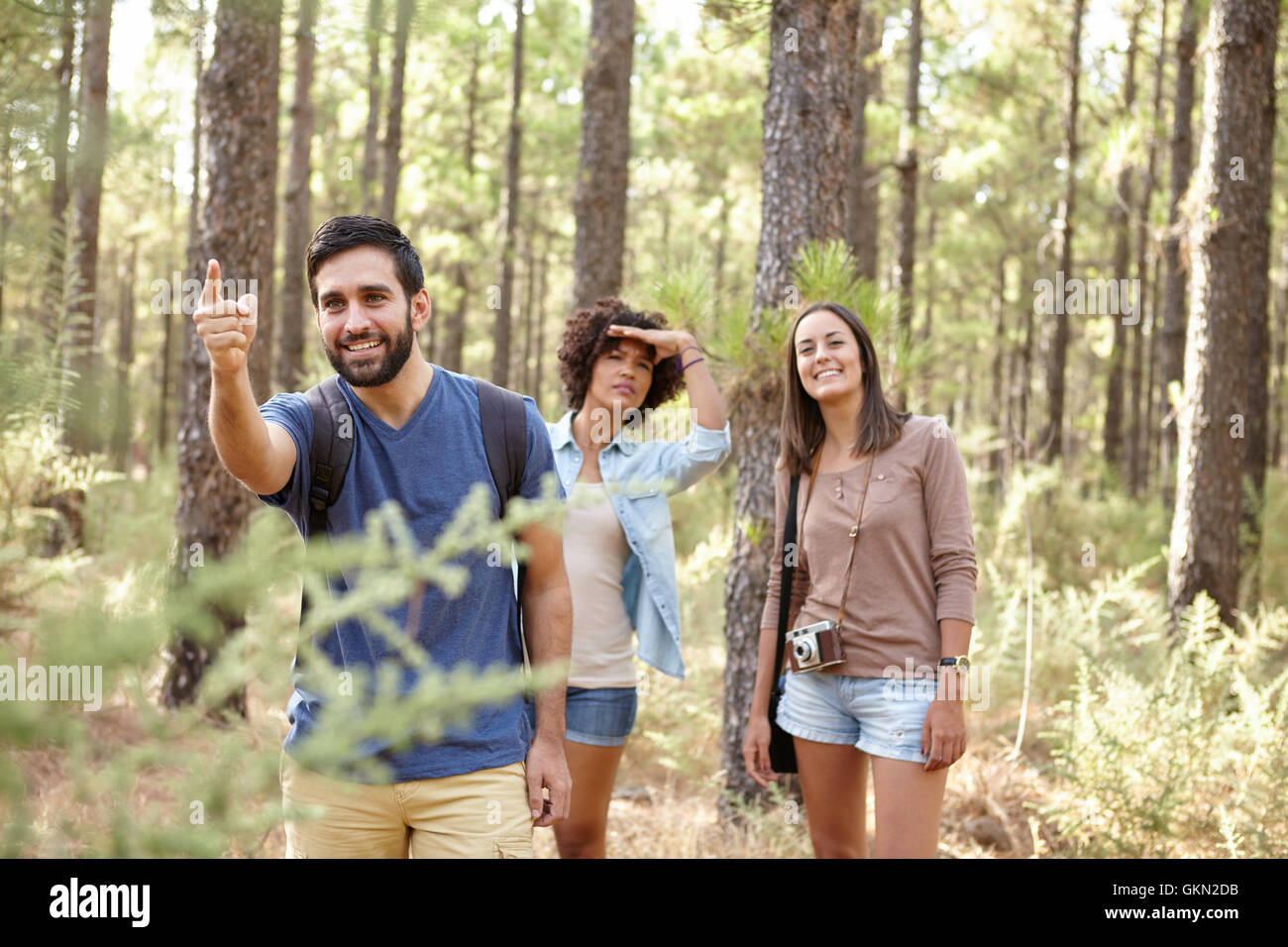 A young man pointing at something for his friends a pine forest in the ...
