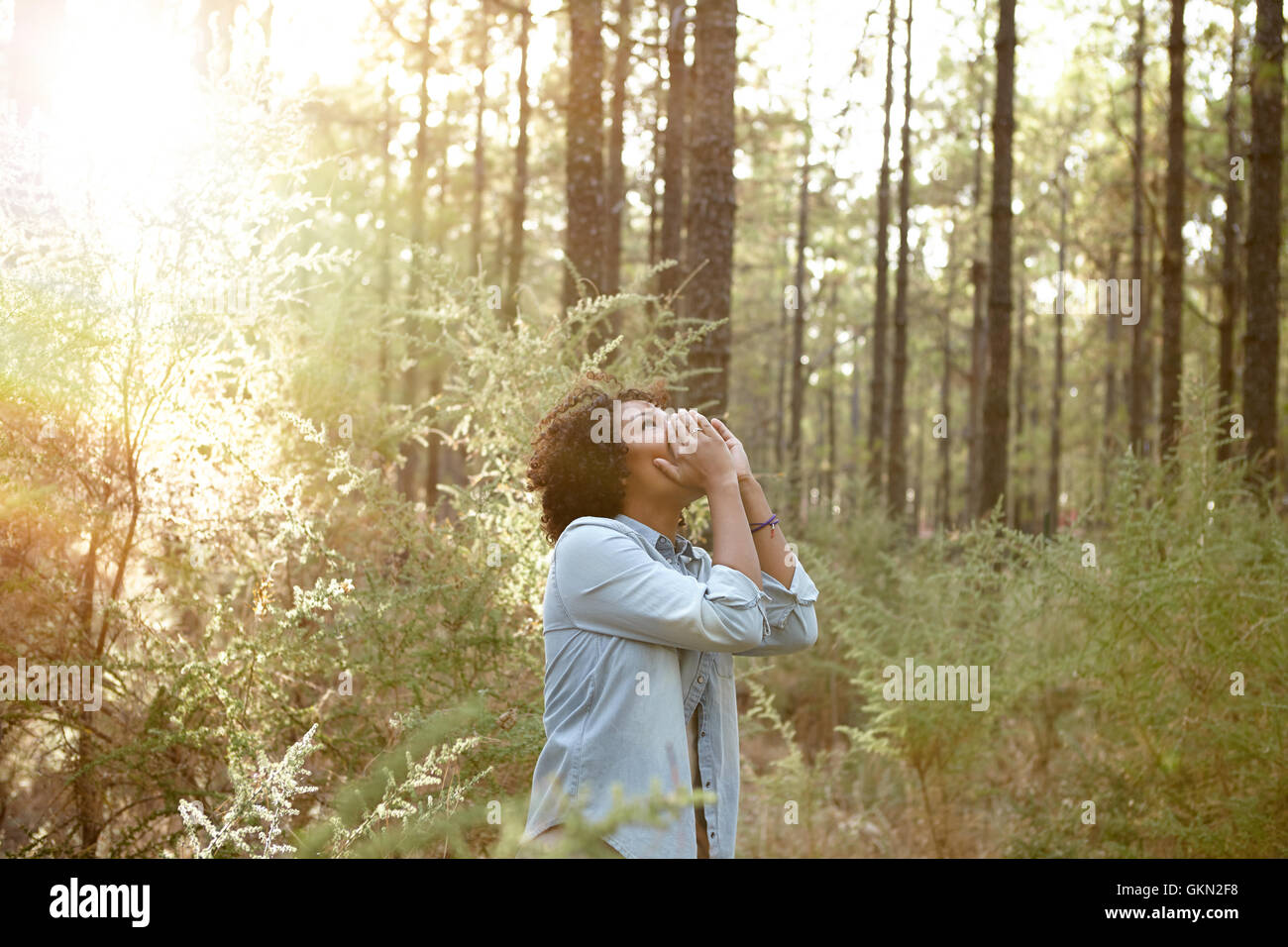Young girl looking up and shouting into the pine trees of a plantation ...