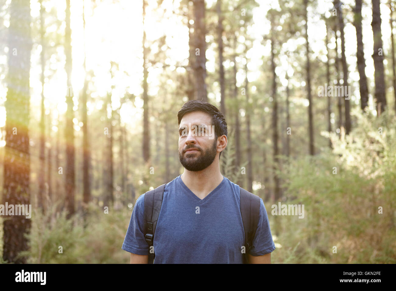 Young man looking around him and listening to the pine trees of a ...