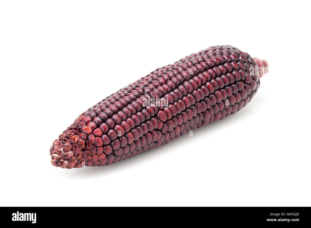 purple corn isolated on white background Stock Photo - Alamy