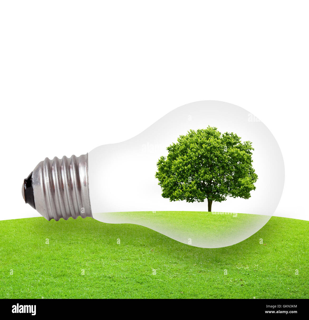 Business concept eco tree light energy power hi-res stock photography ...