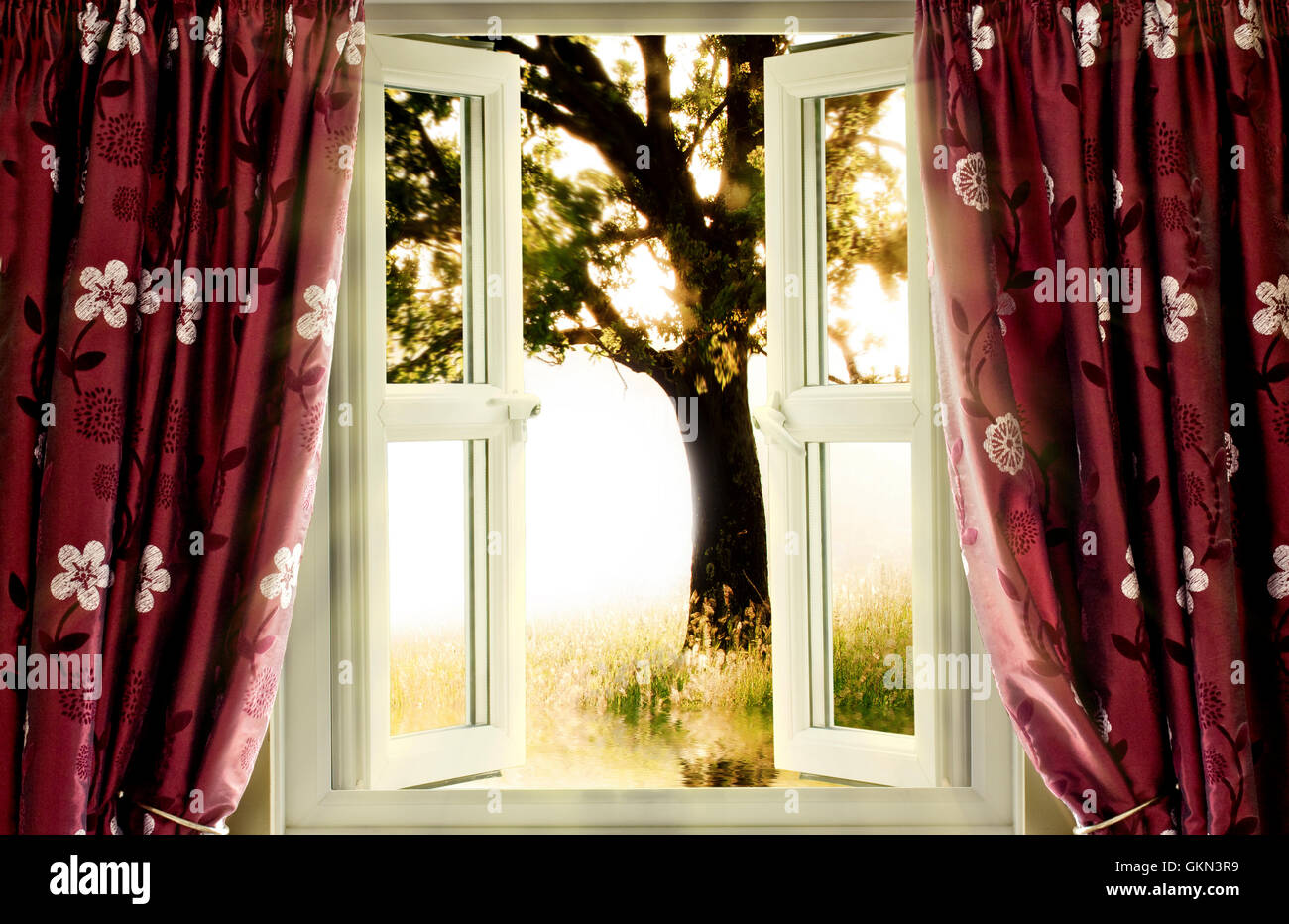 Window view onto tree in motion Stock Photo - Alamy