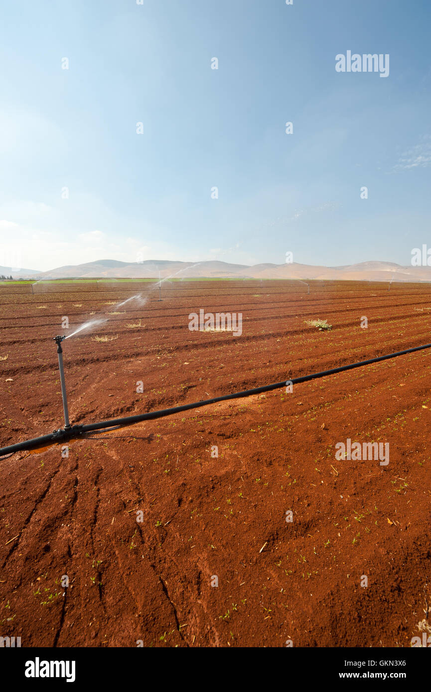 Holy water sprinkler hi-res stock photography and images - Alamy