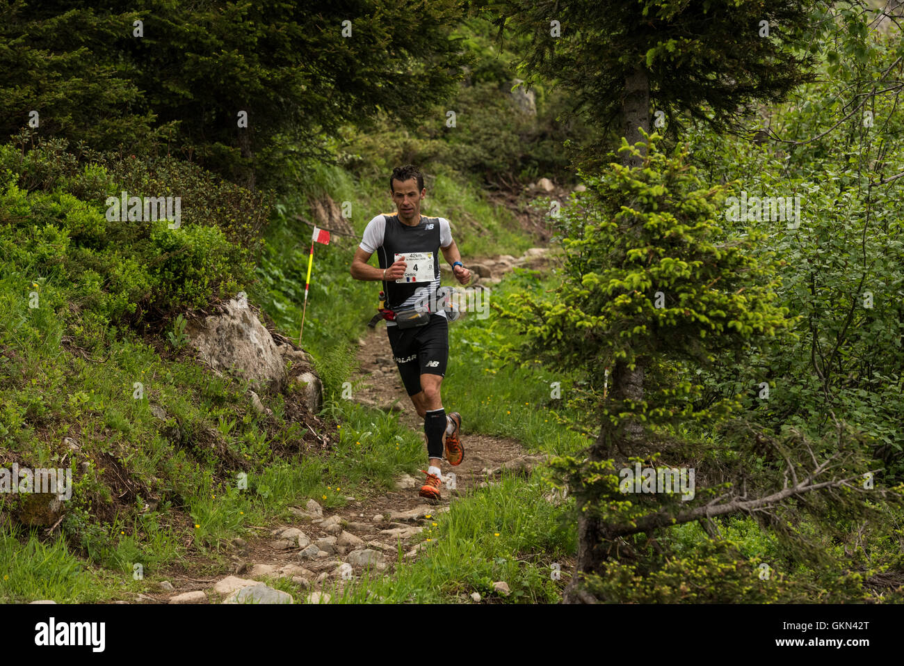 Cedric Fleureton - Chamonix trail running marathon 2016 Stock Photo - Alamy