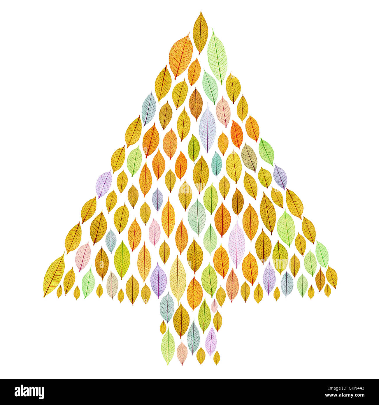 Dead christmas tree Cut Out Stock Images & Pictures - Alamy