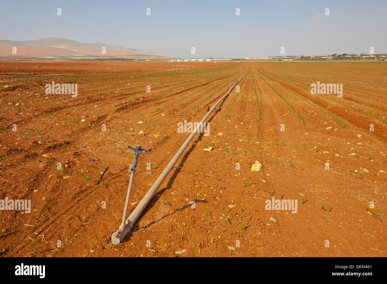 Holy water sprinkler hi-res stock photography and images - Alamy