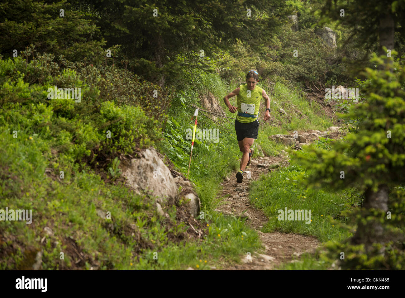 Xavier Thevenard - Chamonix trail running marathon 2016 Stock Photo - Alamy