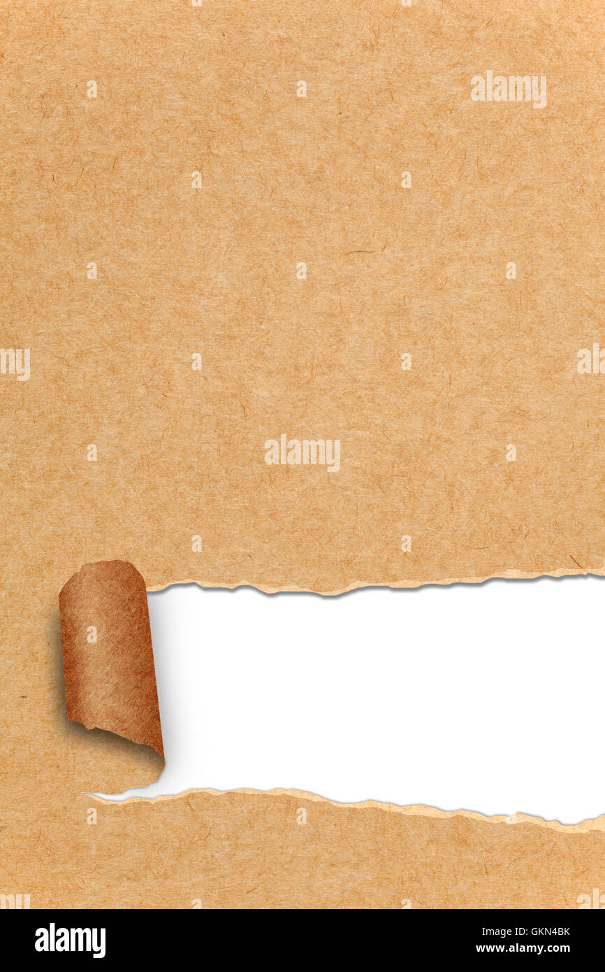 Assortment of ripped Recycle Paper with copy space Stock Photo - Alamy