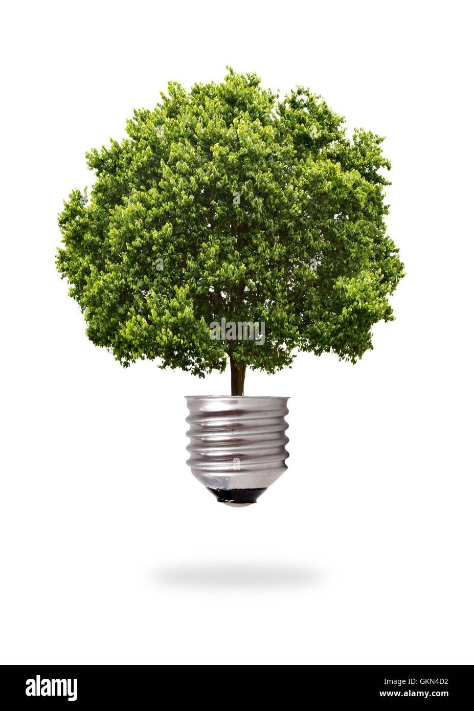 Tree growing into house Cut Out Stock Images & Pictures - Alamy