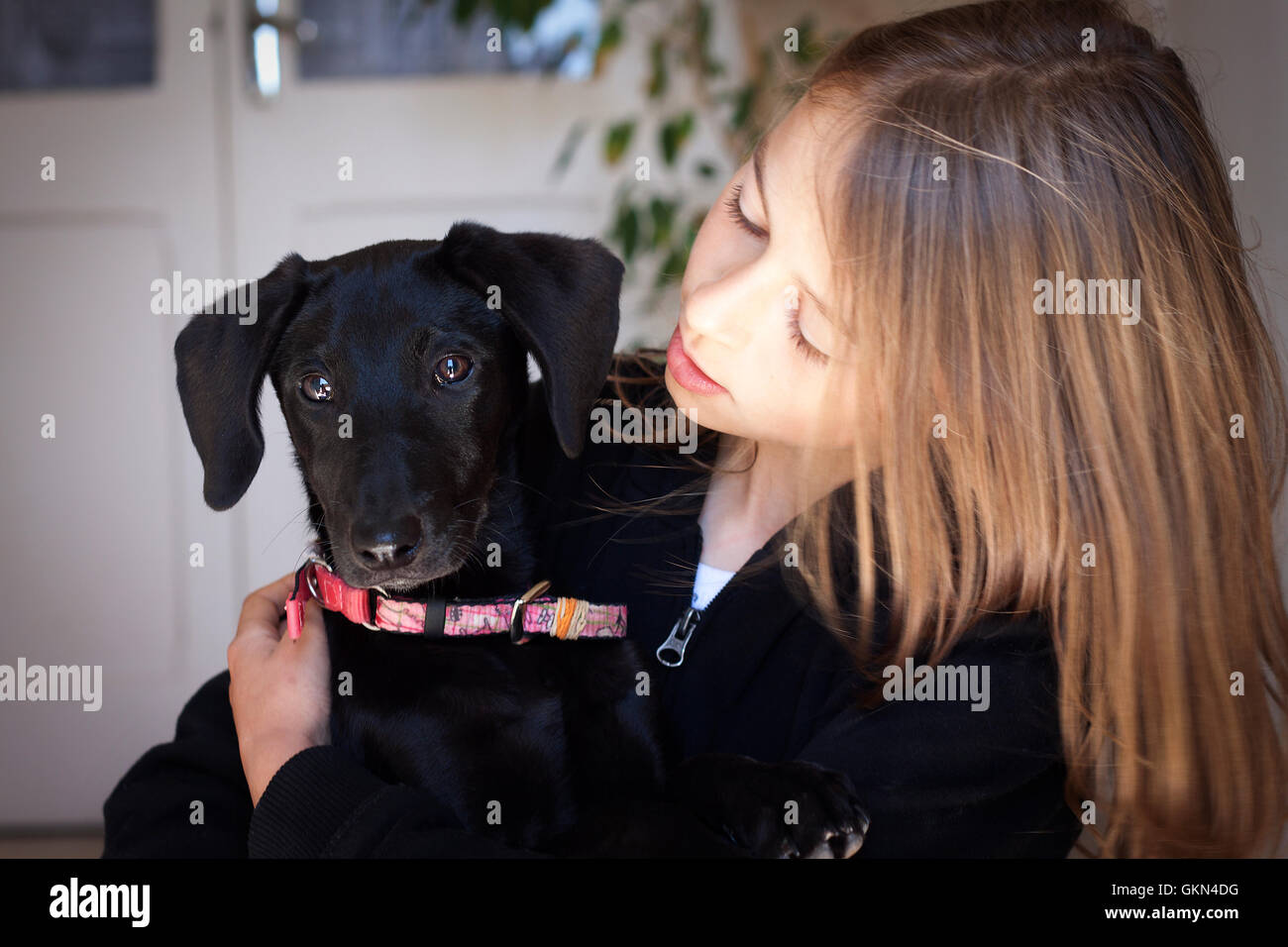 Girl with cute puppy Stock Photo - Alamy