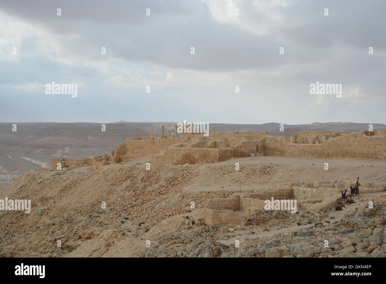 En Avdat National Park, Israel Stock Photo - Alamy