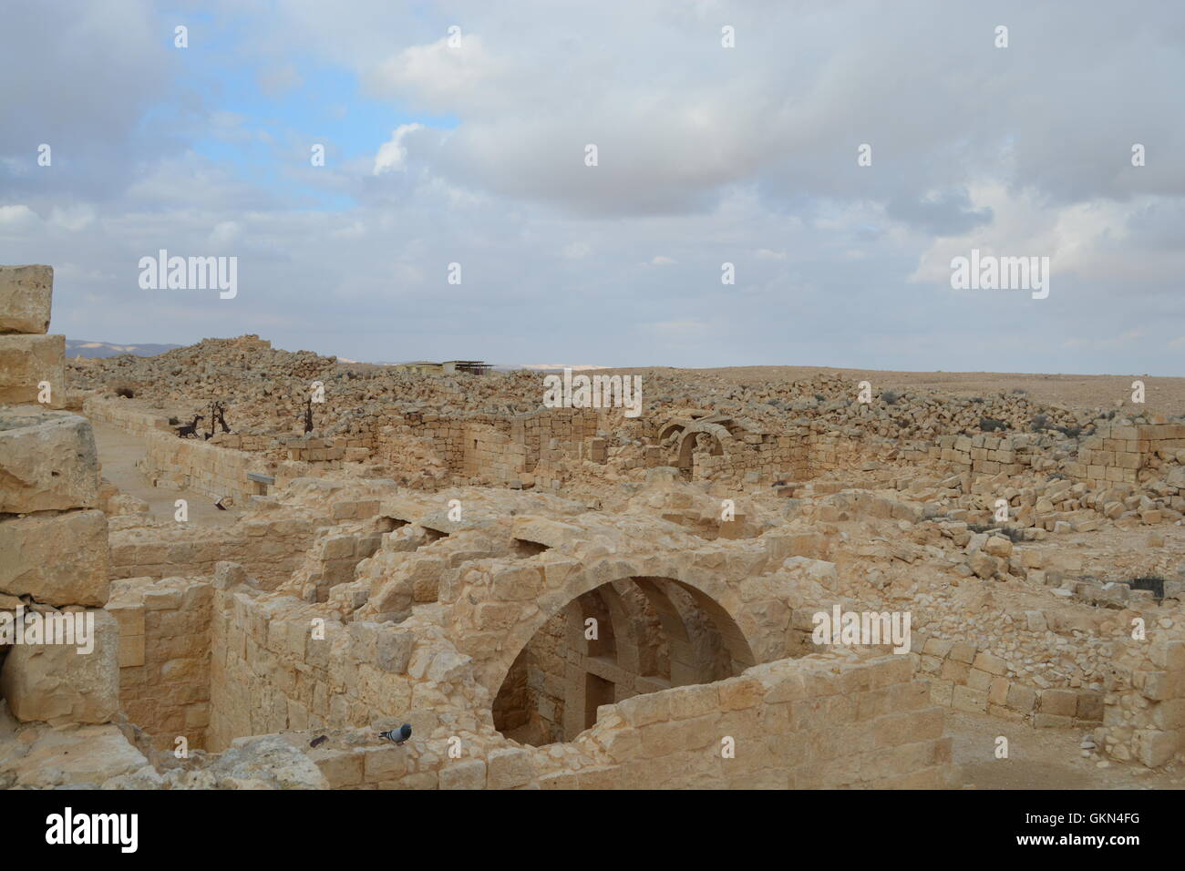 En Avdat National Park, Israel Stock Photo - Alamy
