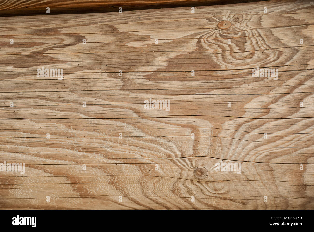 Beautiful texture of the logs of spruce without bark Stock Photo - Alamy