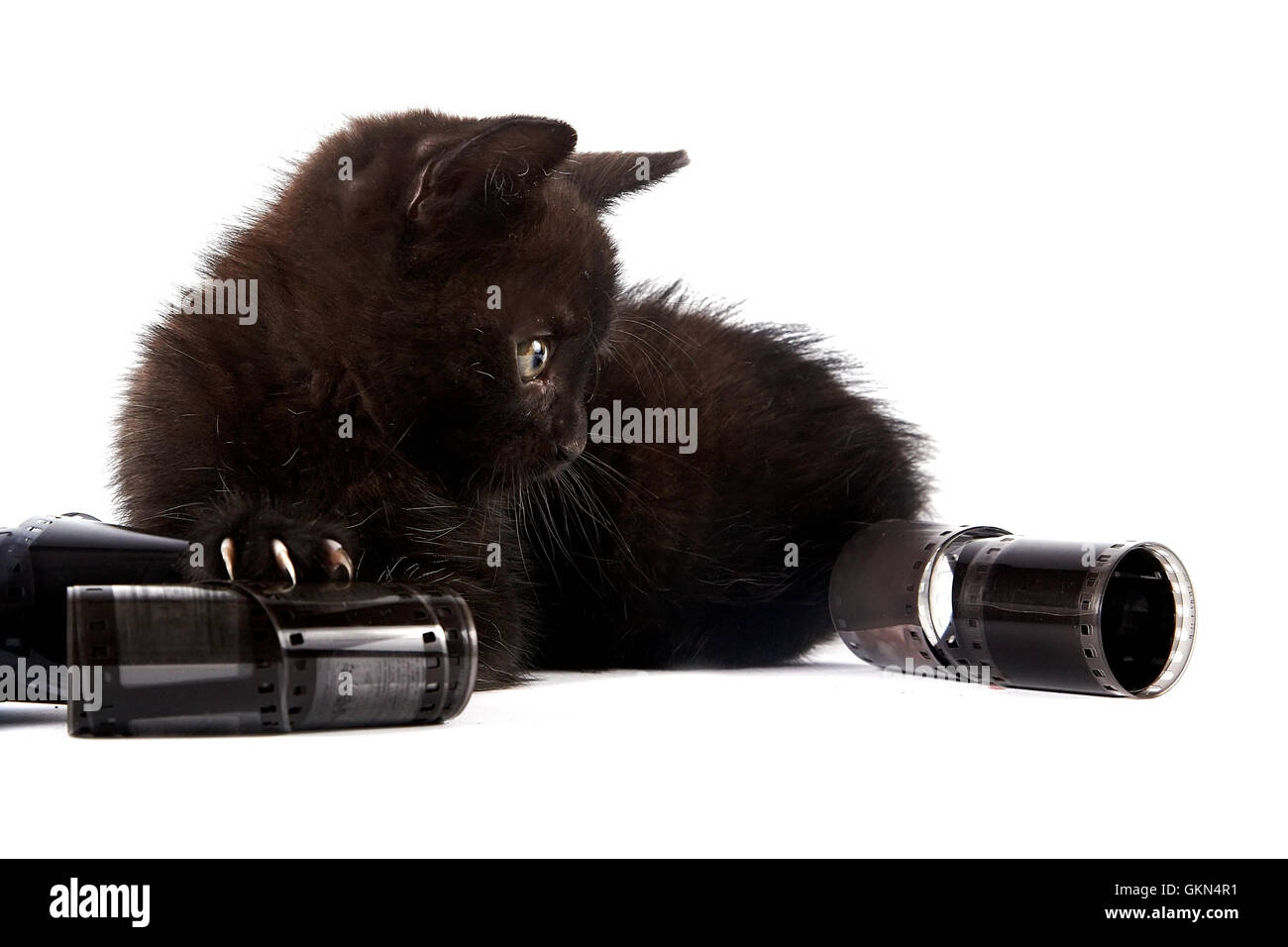 Cute retro kitten Cut Out Stock Images & Pictures - Alamy