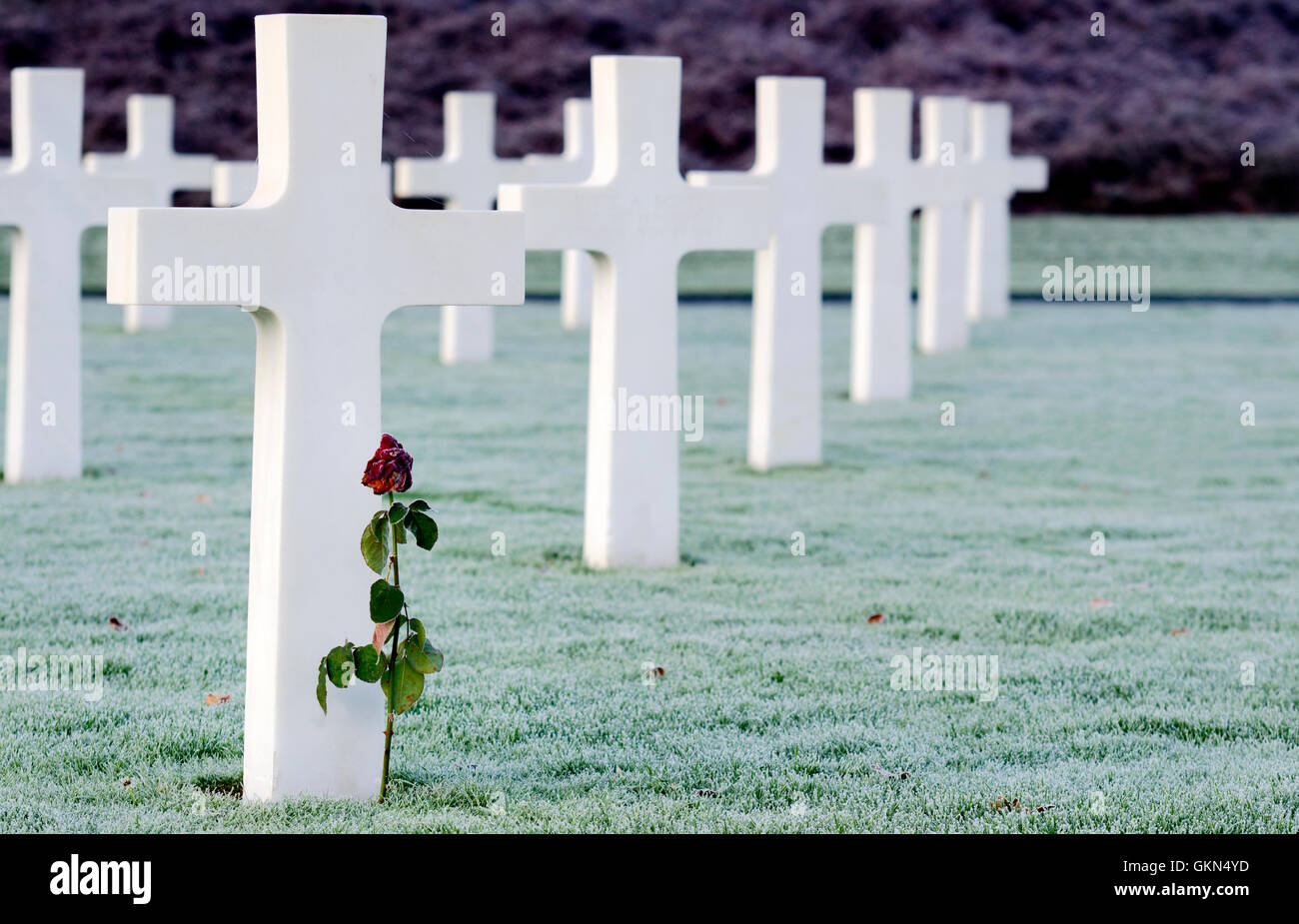 White cross tomb hi-res stock photography and images - Alamy