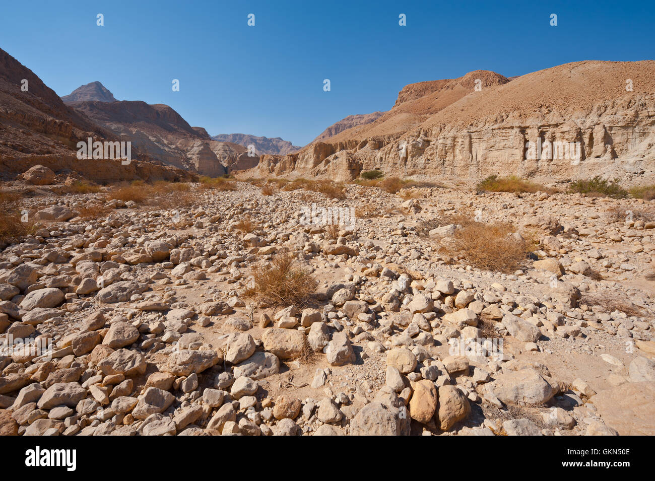 Mishmar hi-res stock photography and images - Alamy