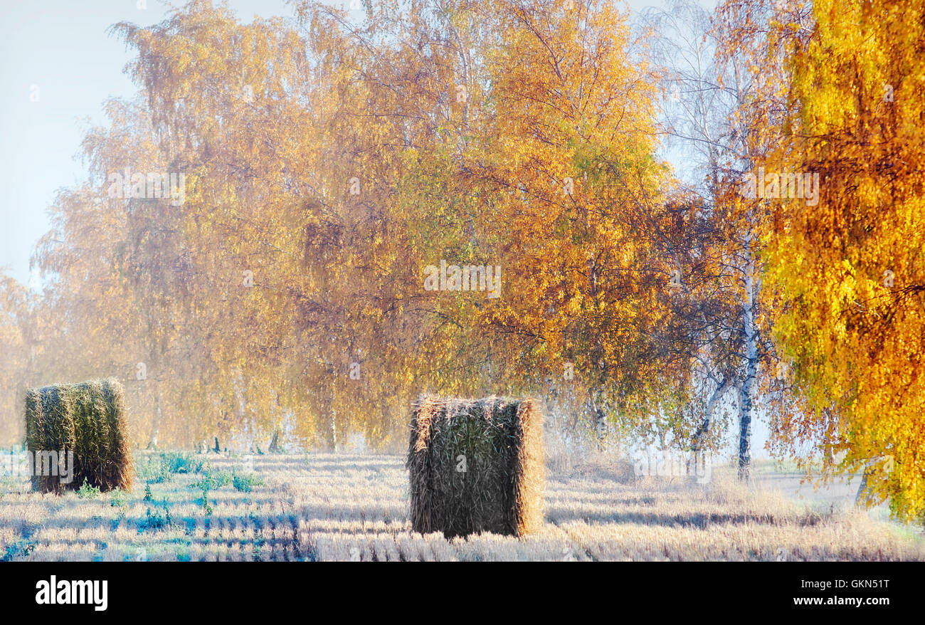 Straw ball landscape hi-res stock photography and images - Alamy