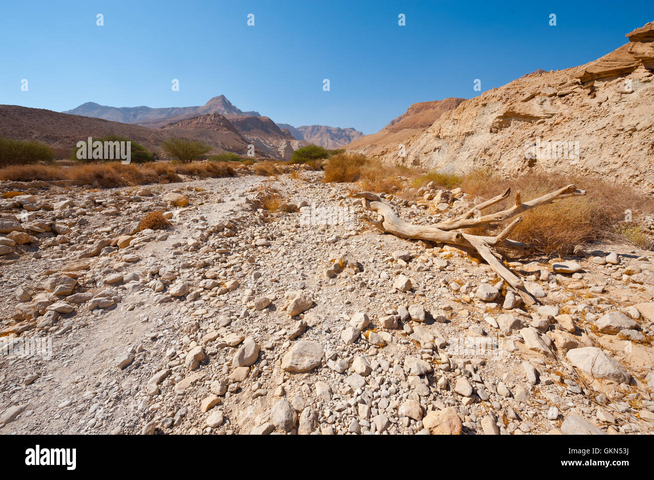 Mishmar hi-res stock photography and images - Alamy