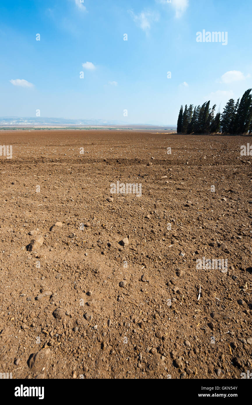 Ecology earth israel hi-res stock photography and images - Alamy