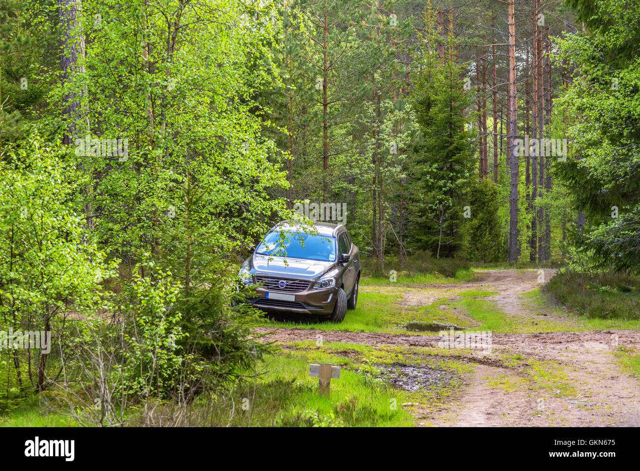 Car parked in the forest at a dirt road Stock Photo - Alamy