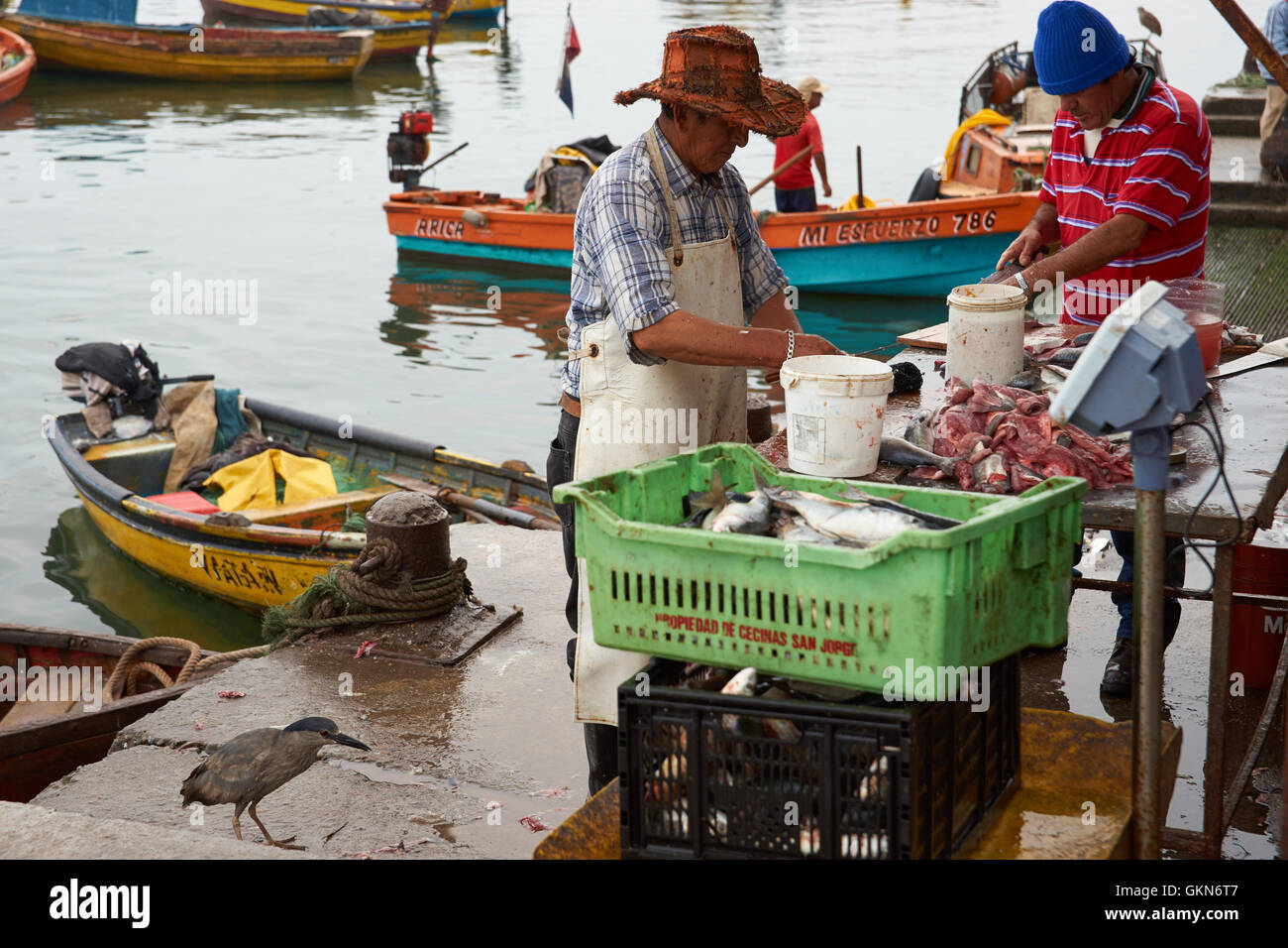 Fish landing port hi-res stock photography and images - Alamy