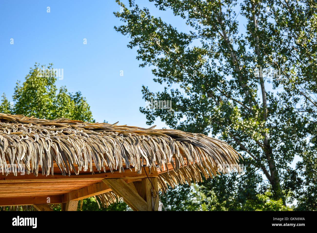 Straw bungalow roof in safari park Stock Photo - Alamy