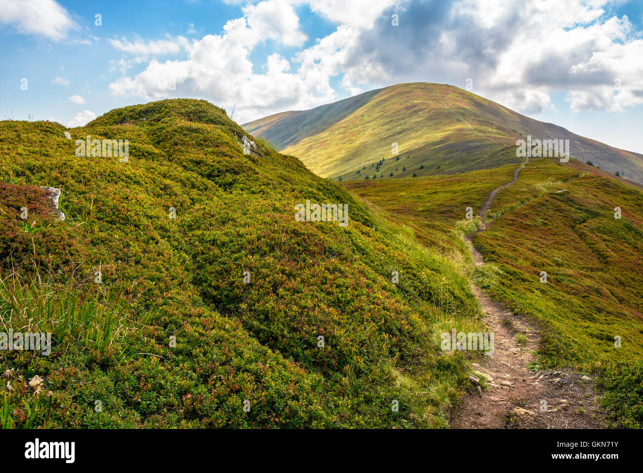 summer mountain landscape. foot path through hill side to the mountain ...