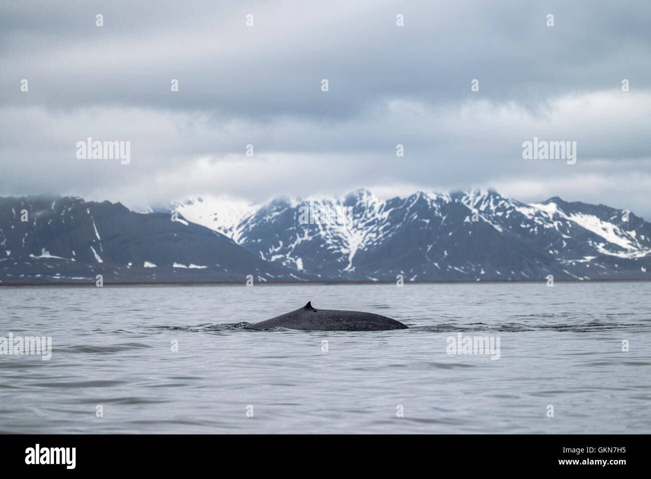 Arctic social history hi-res stock photography and images - Alamy