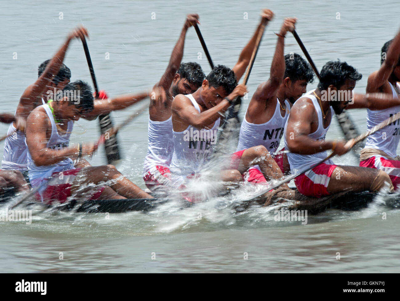 The image of Participant, rowing, Snake boat in motion, Nehru boat race ...