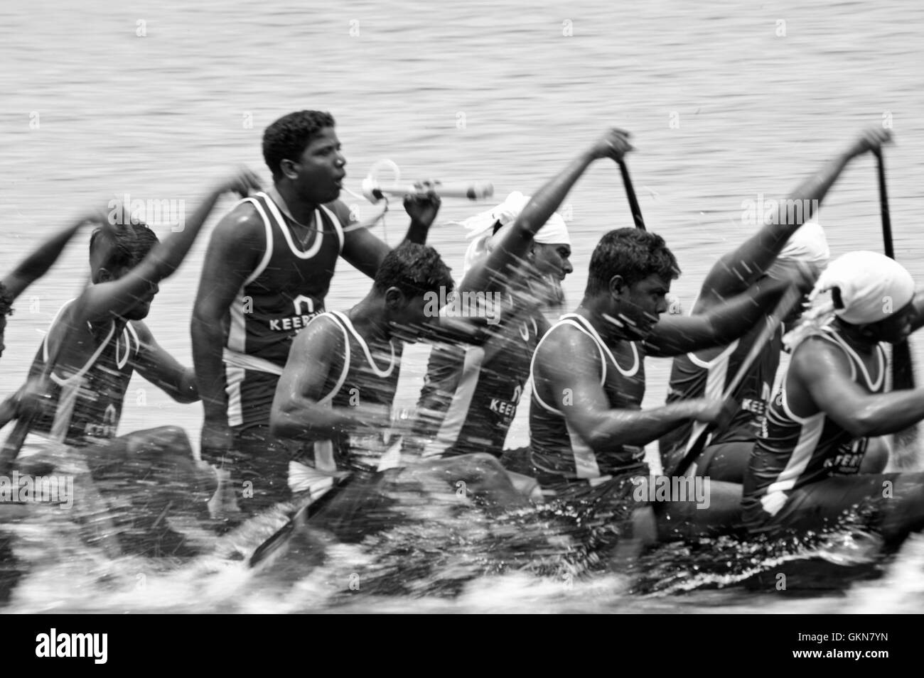 The image of Participant, rowing, Snake boat in motion, Nehru boat race ...