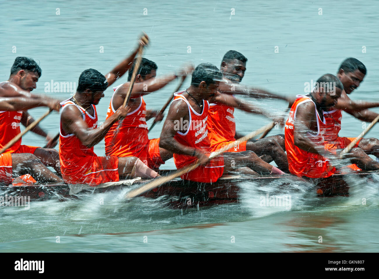 The image of Participant, rowing, Snake boat in motion, Nehru boat race ...