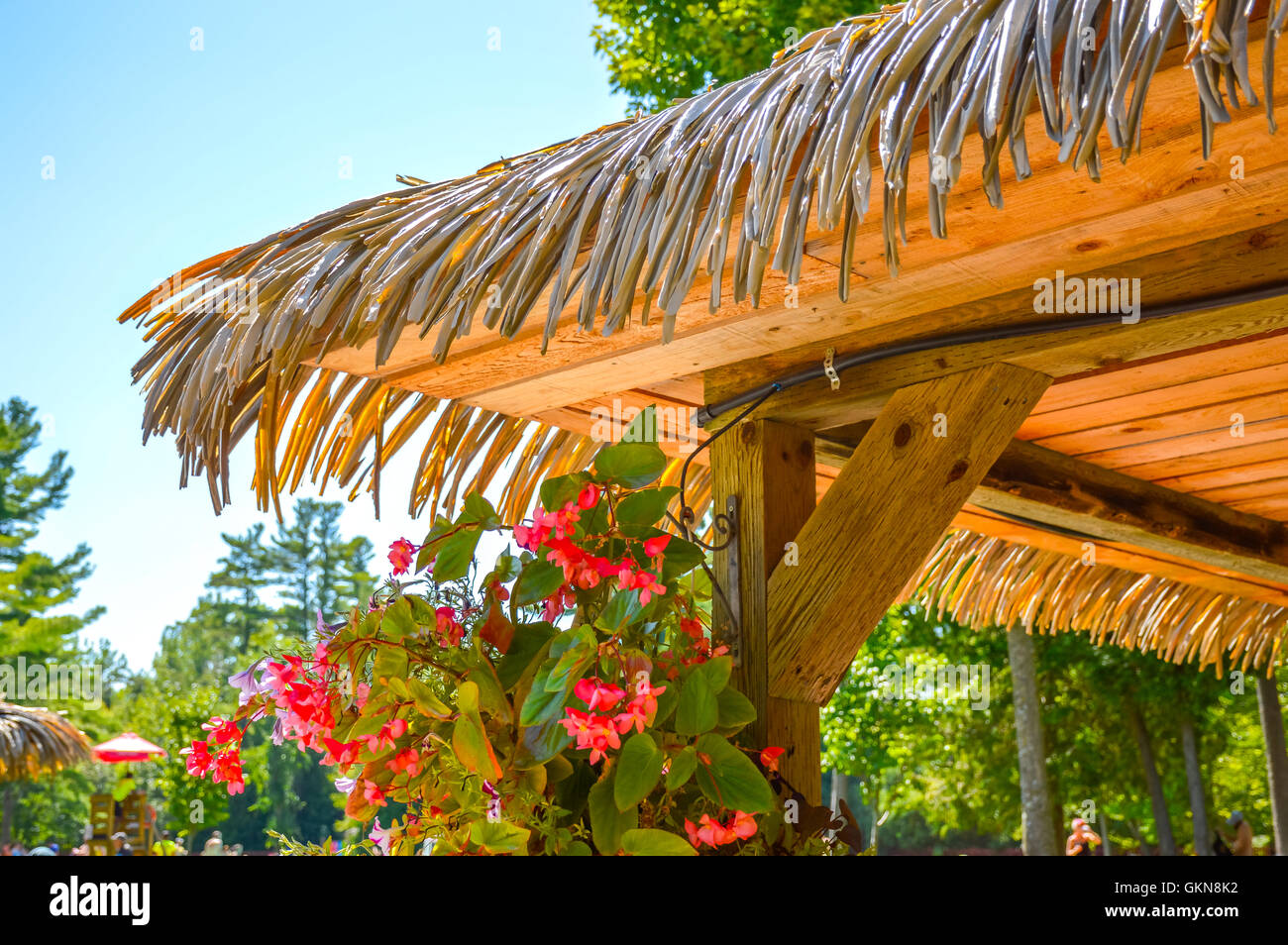 Straw bungalow roof in safari park Stock Photo - Alamy