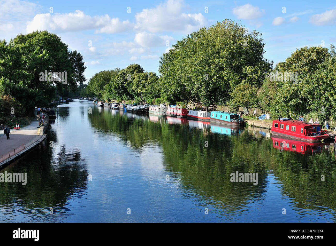 Springfield park london hi-res stock photography and images - Alamy