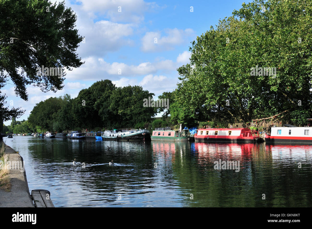 River Lea in summertime near Springfield Park, Upper Clapton, London UK ...